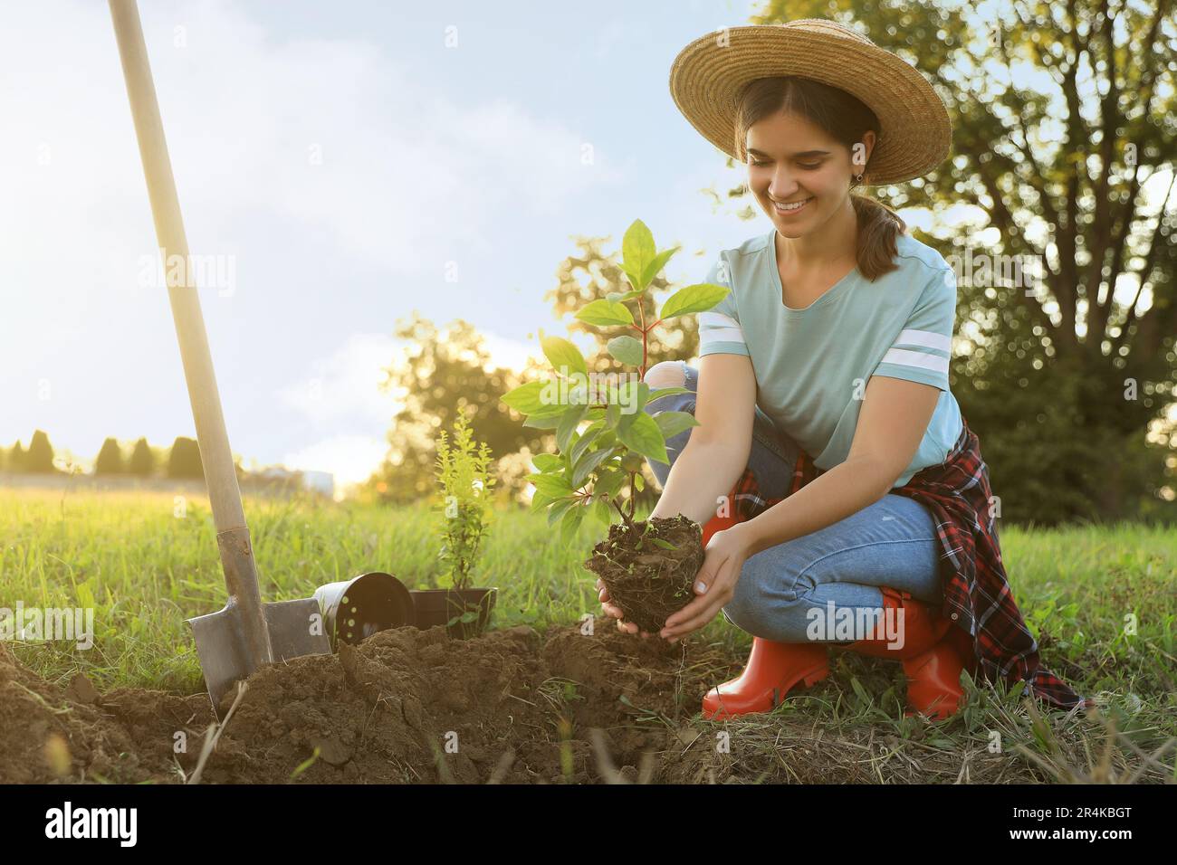 Woman planting tree hi-res stock photography and images - Alamy