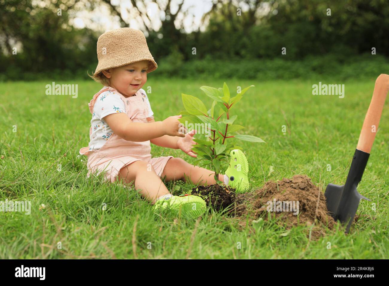 Cute baby girl planting tree in garden Stock Photo - Alamy
