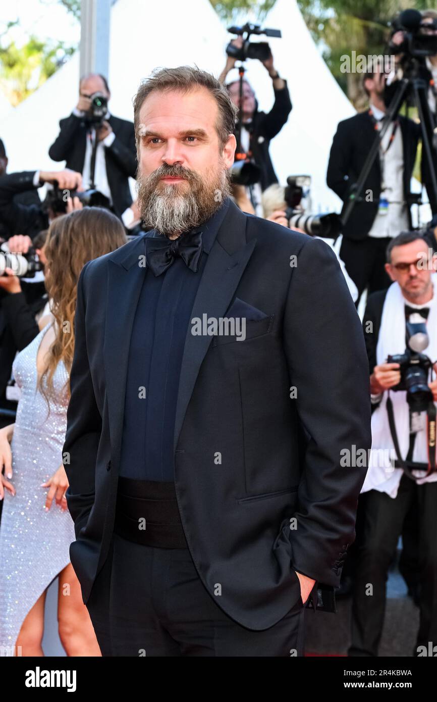 David Harbour 76th Cannes Film Festival Red carpet of the closing ...
