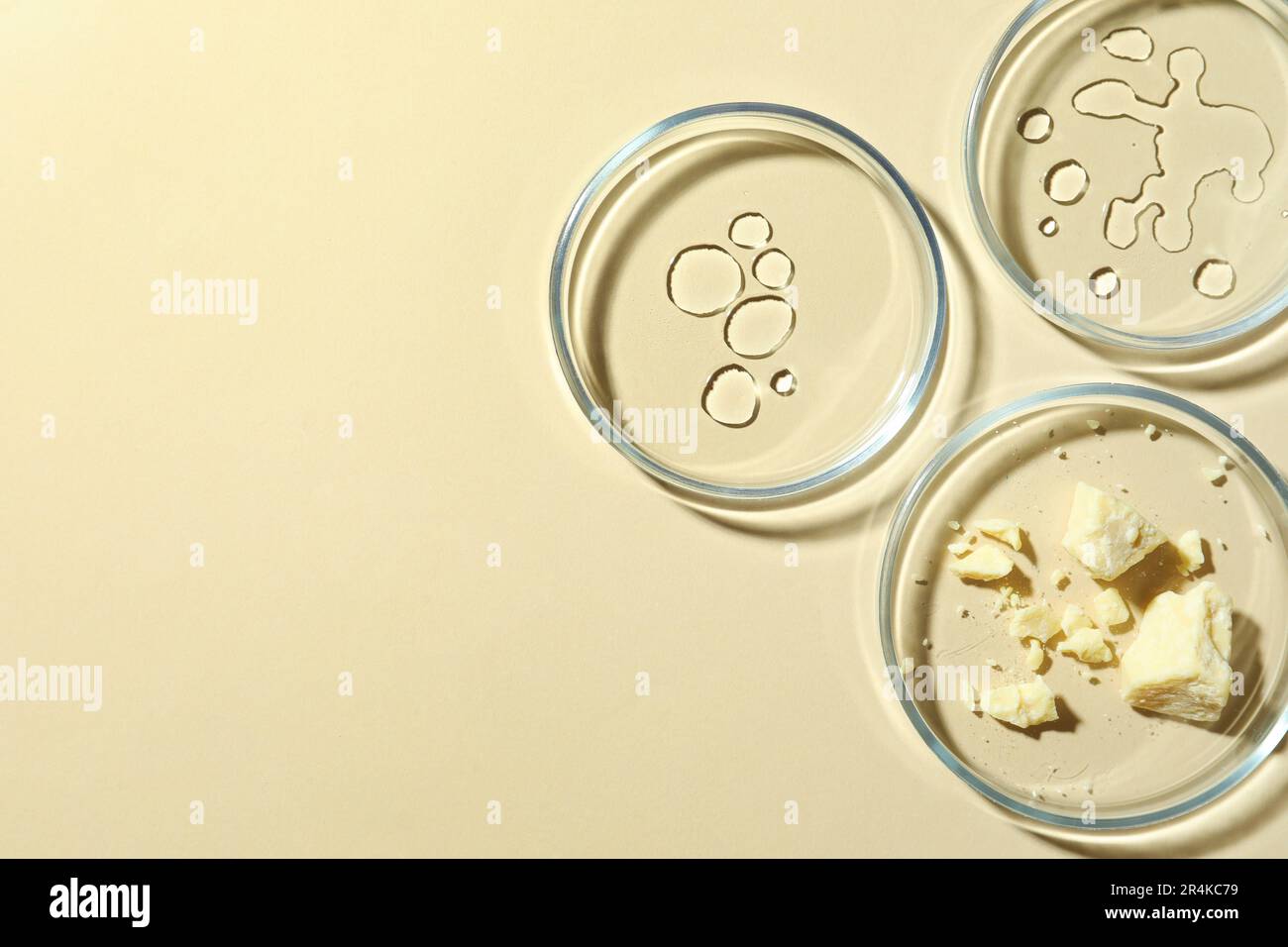Many Petri dishes and cosmetic products on beige background, flat lay ...
