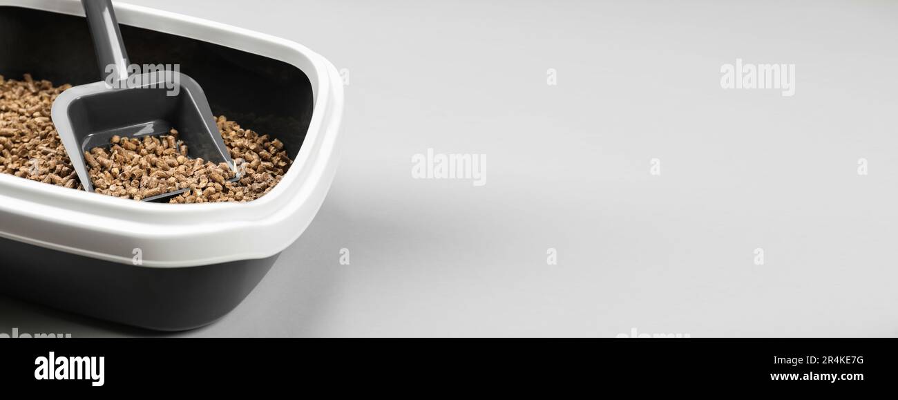 Cat litter tray with filler and scoop on floor. Banner design with ...