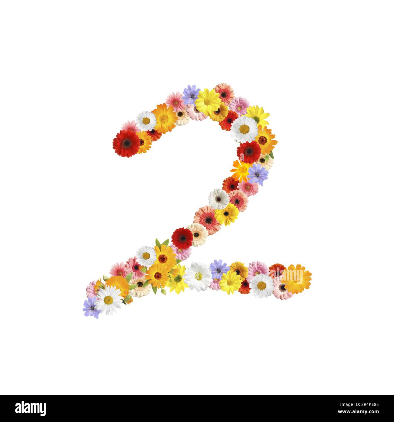 Number made white daisy flowers hi-res stock photography and images - Alamy