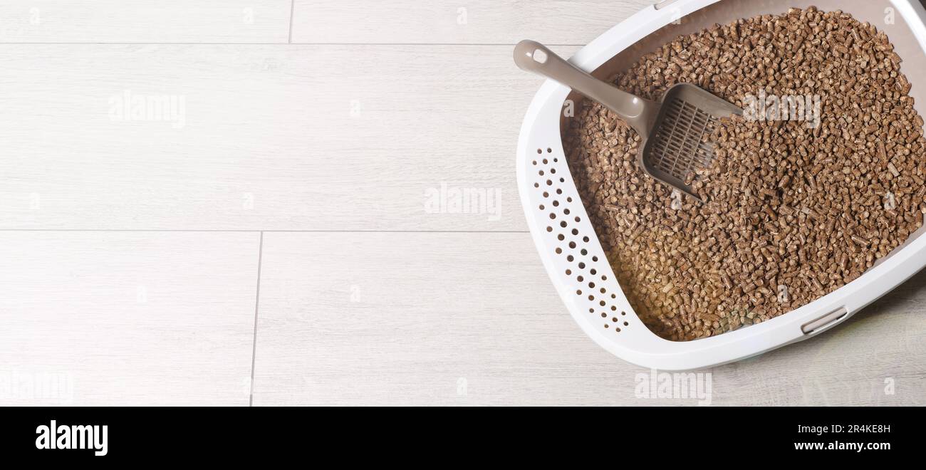 Cat tray with biodegradable litter and scoop on wooden floor, top view ...