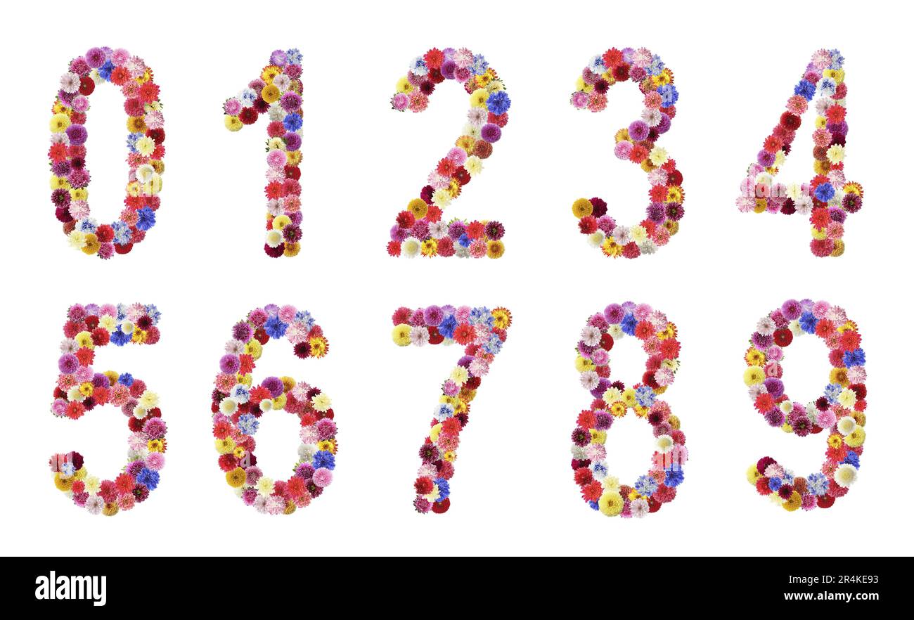 Collage with numbers made of beautiful flowers on white background ...