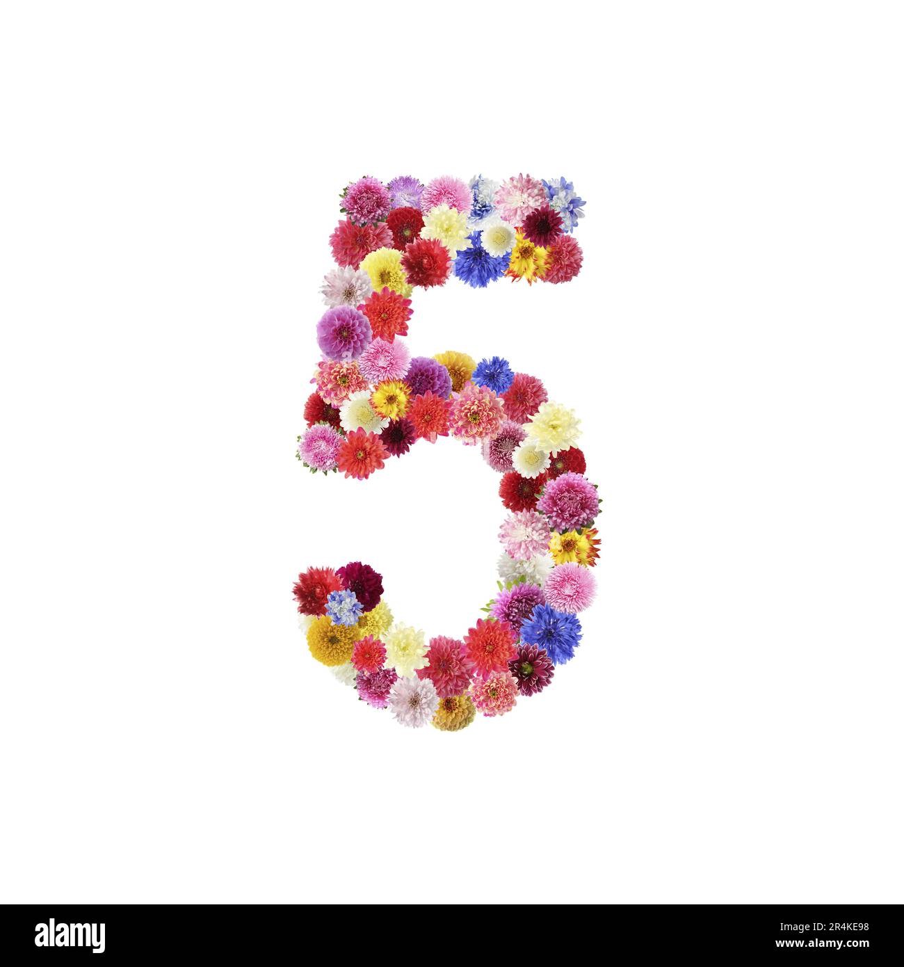 Number 5 made of beautiful flowers on white background Stock Photo - Alamy