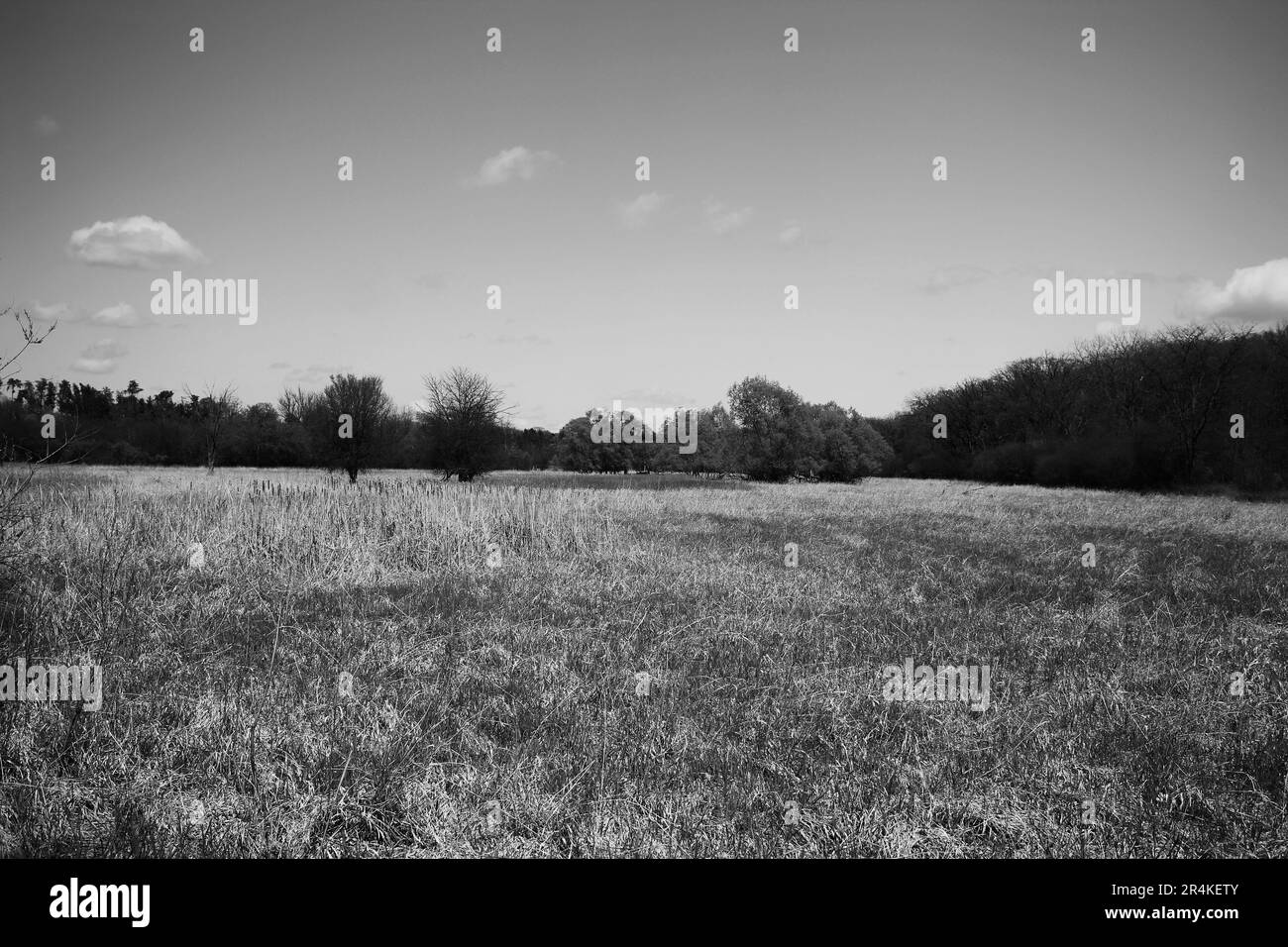 Genuine land Black and White Stock Photos & Images - Alamy