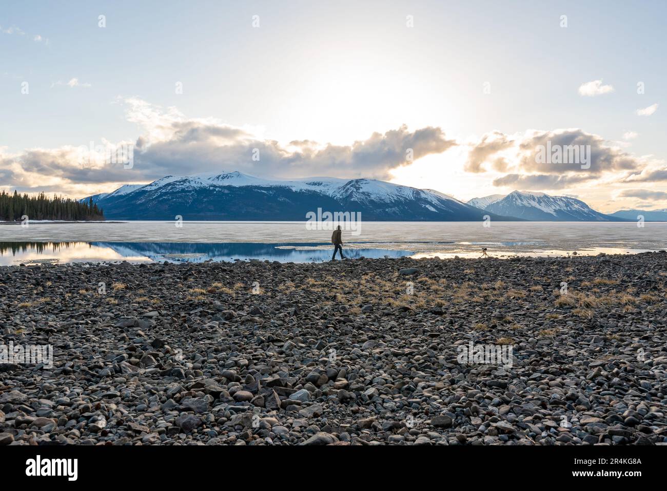 Man walking standing beside partial frozen thawing lake in Canada ...