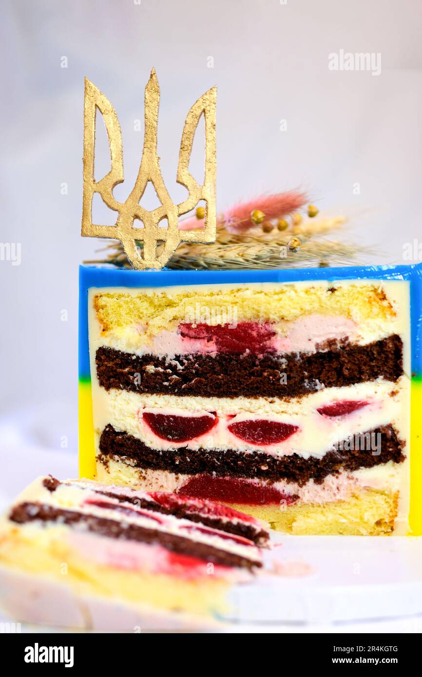 cake in form of Ukrainian flag yellow and blue layer process of making ...