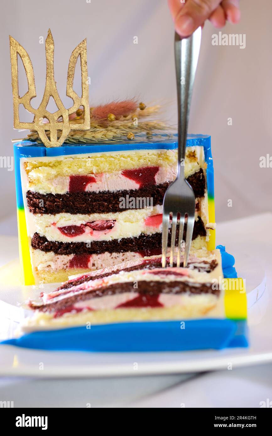 cake in form of Ukrainian flag yellow and blue layer process of making ...
