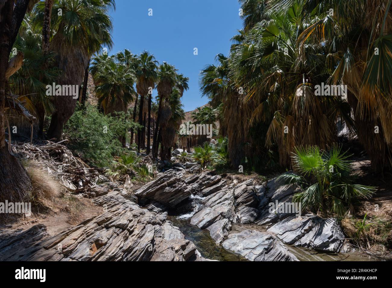 Scenic Palm Canyon Creek vista in Palm Springs, Southern California ...