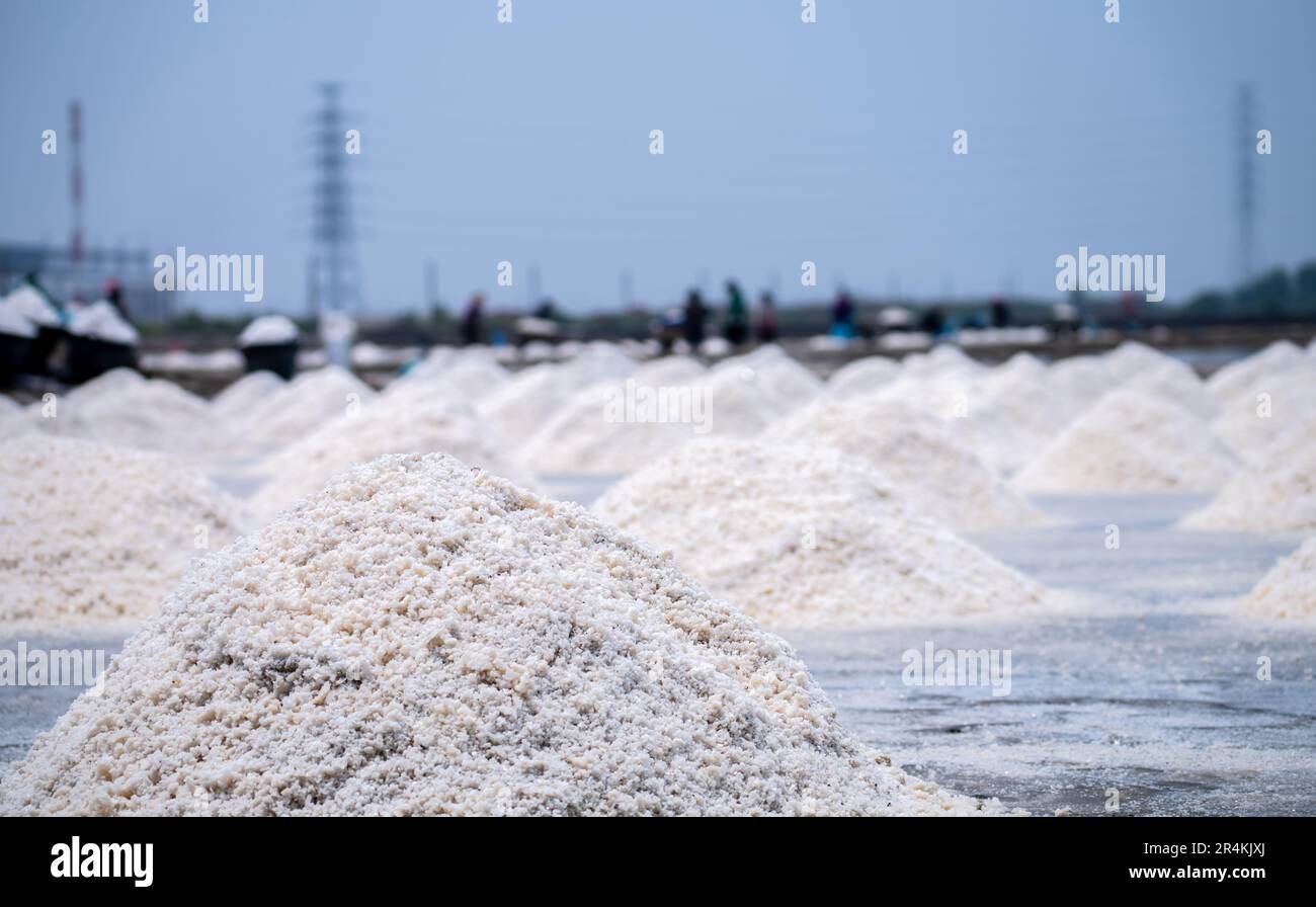 Sea salt farm and blur worker working on farm. Brine salt. Raw material ...