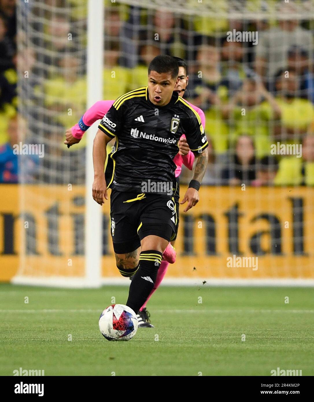 2519 hi-res stock photography and images - Alamy