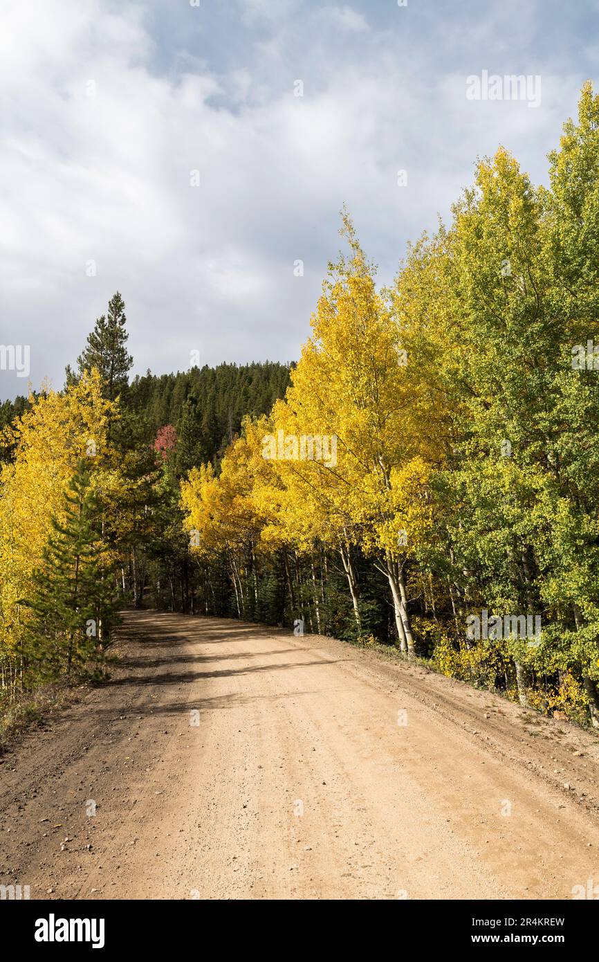 Early Autumn colors can be viewed along a country road east of Chapman ...