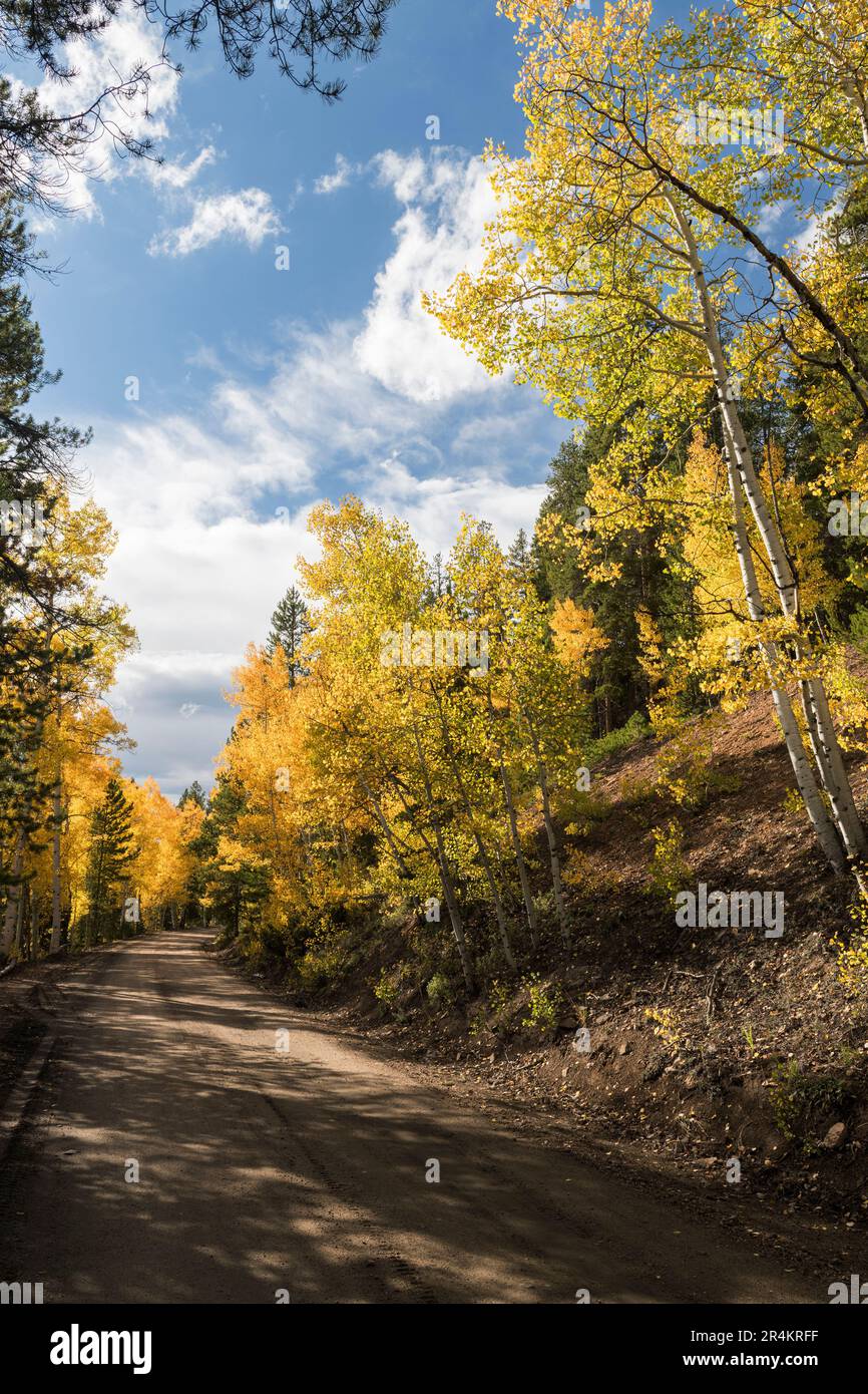 Ivanhoe lake road hi-res stock photography and images - Alamy