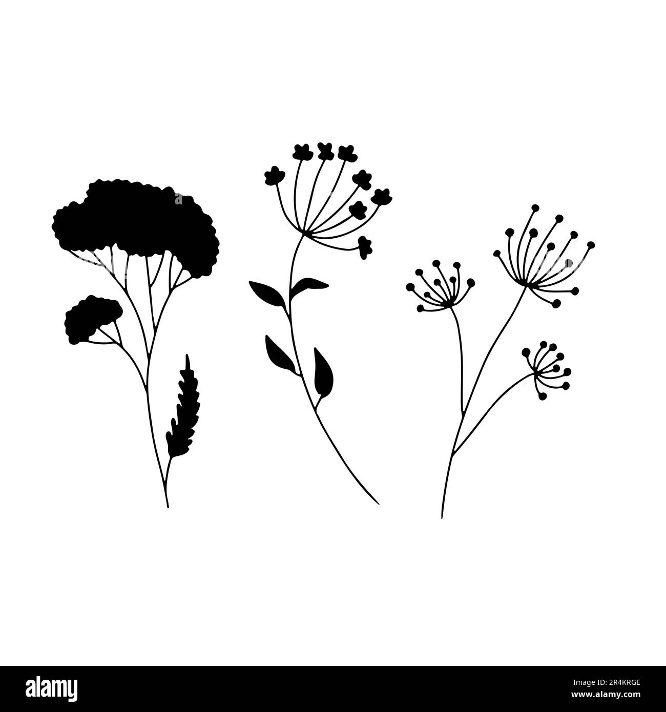 Hand drawn wild flowers silhouettes illustrations set isolated on white ...