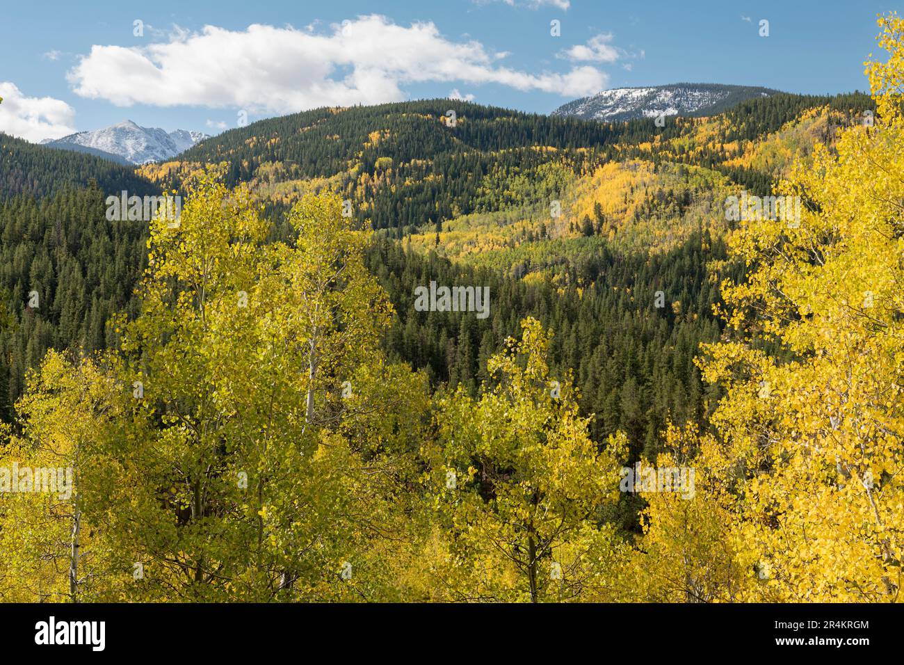 Ivanhoe Lake Road east of Chapman Reservoir in the early autumn, late ...