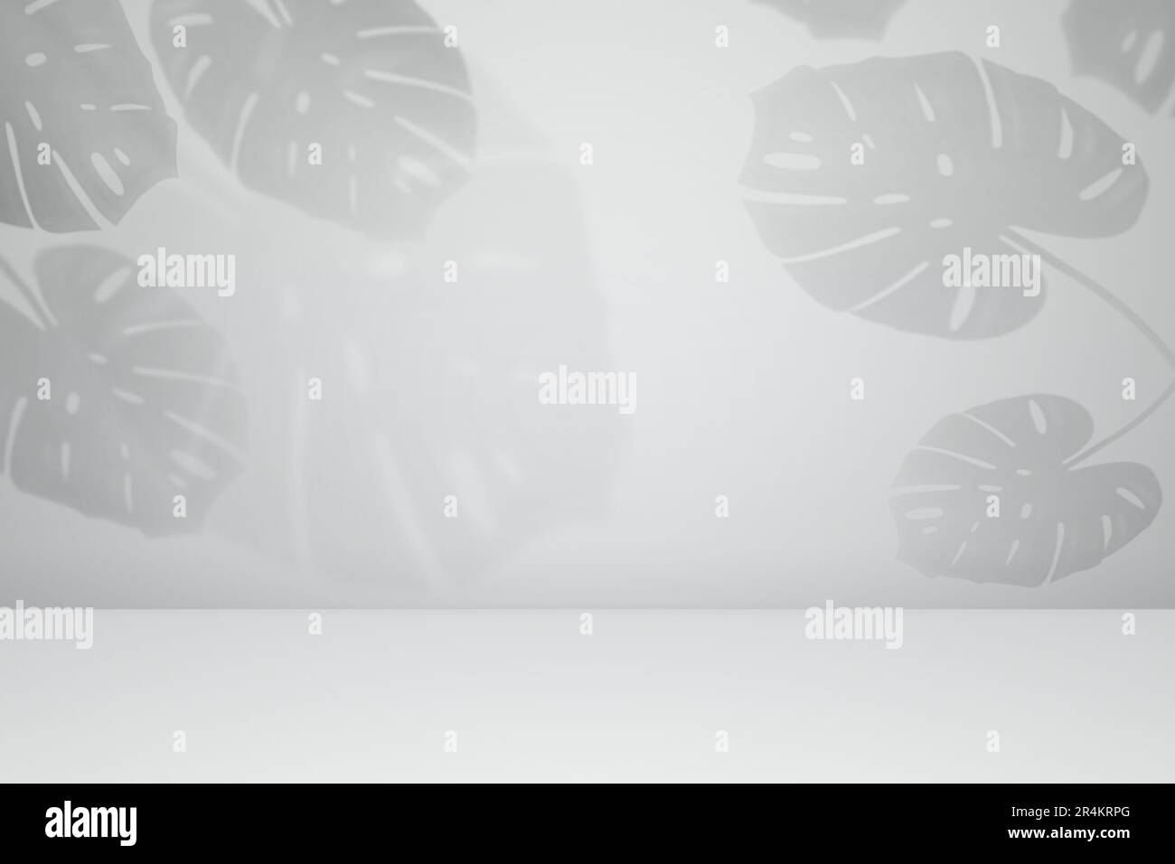 Empty monstera shadow advertising background. Aesthetic monstera shadow ...