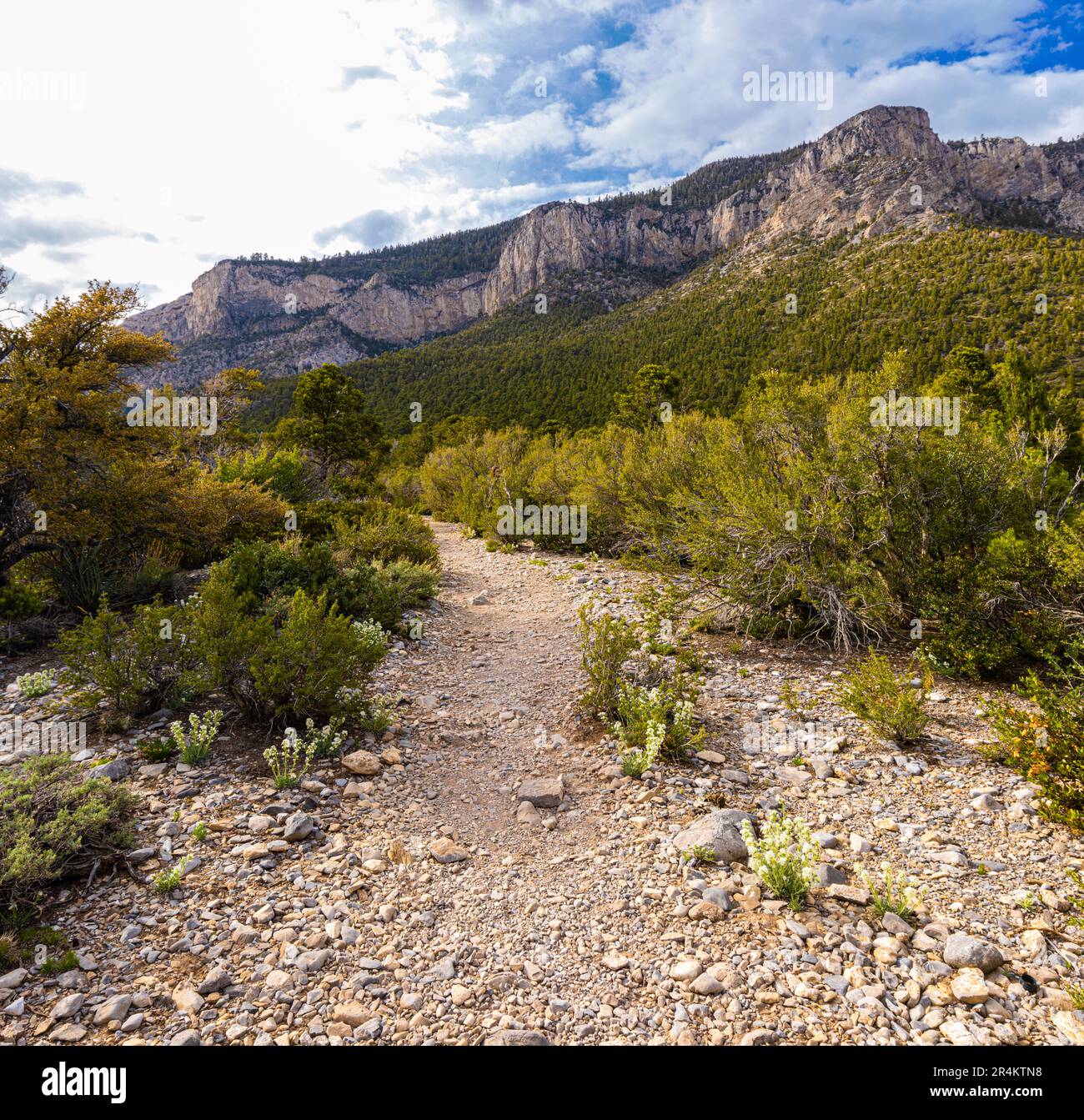The Eagles Nest Loop and The Spring Mountains Range, Spring Mountains ...