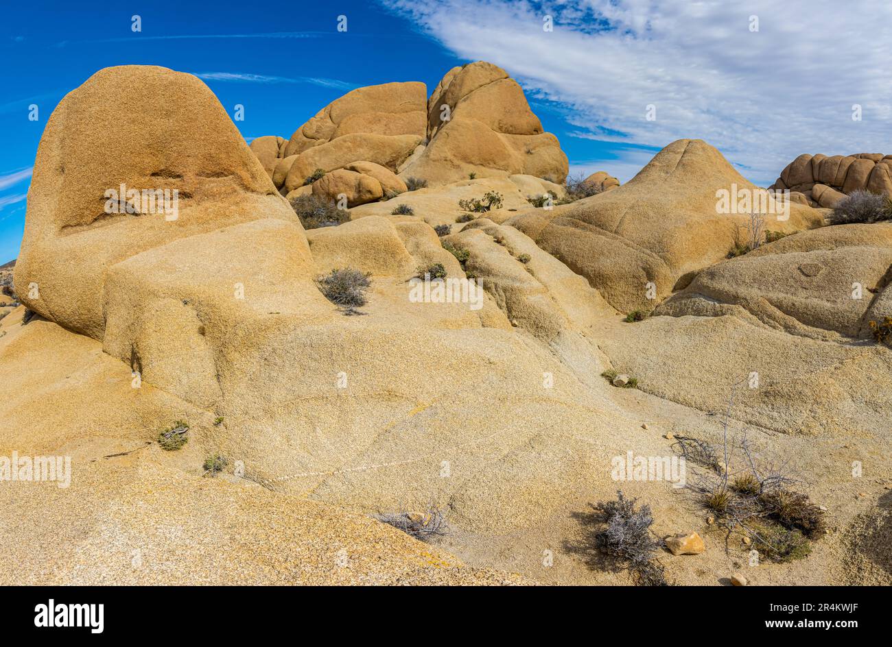 Weathered Rock Formation On The Skull Rock Nature Trail, Joshua Tree ...