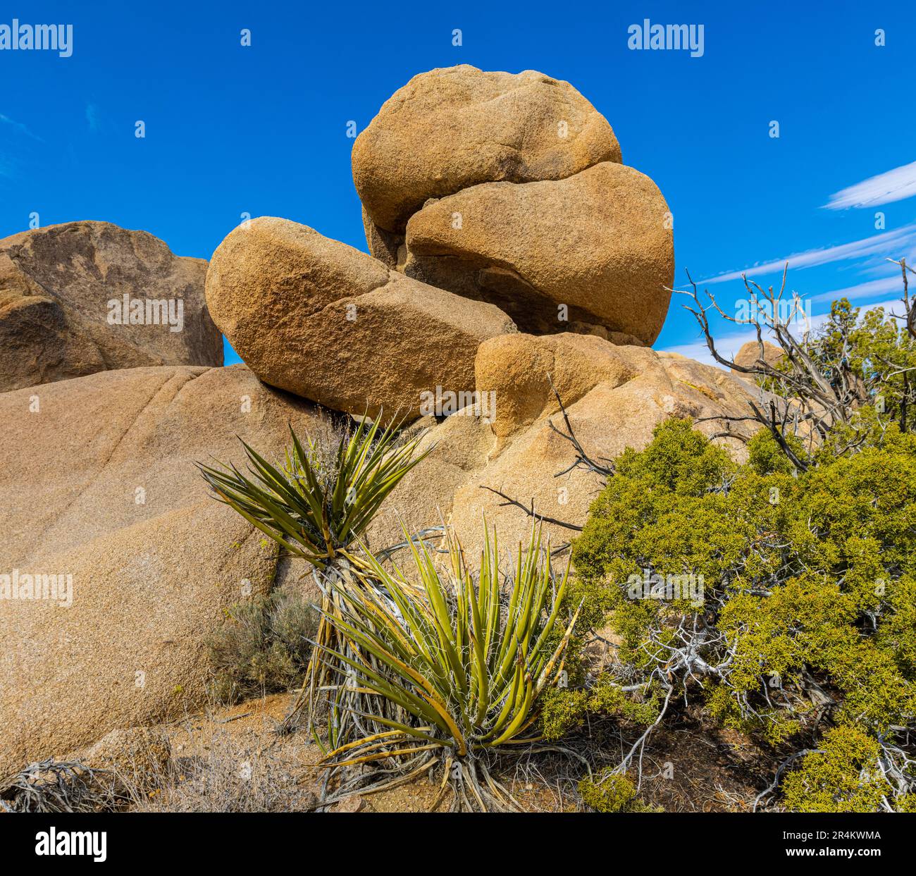 Balanced Rock Formation On The Skull Rock Nature Trail, Joshua Tree ...