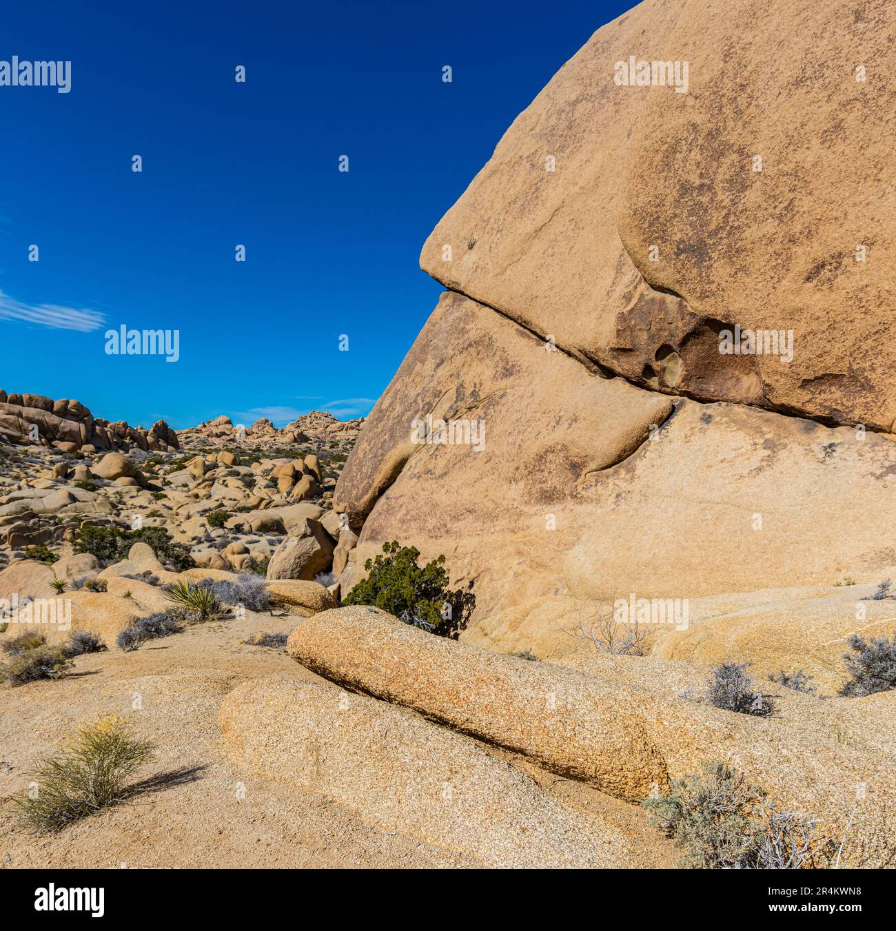 Weathered Rock Formation On The Skull Rock Nature Trail, Joshua Tree ...