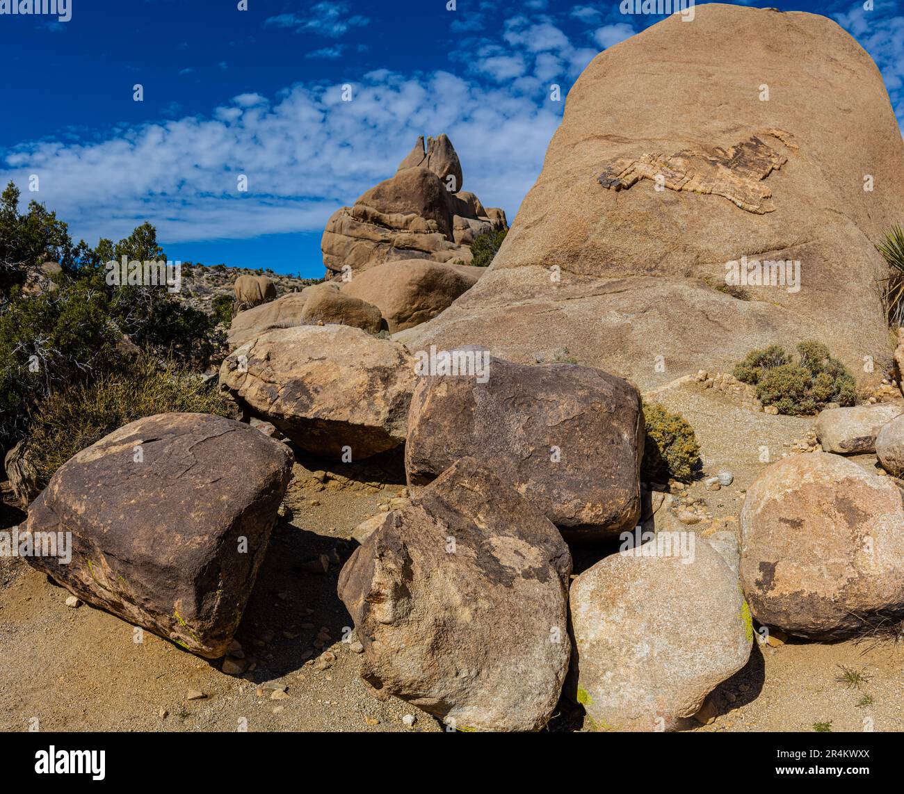 Granite Rock Formations on The Split Rock Loop Trail, Joshua Tree ...