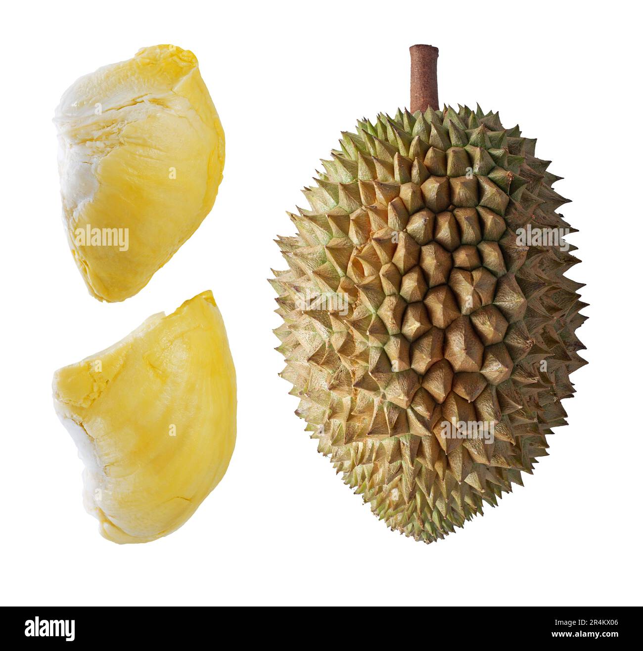 Fresh sweet durian Fruit Isolated on White Background Stock Photo - Alamy
