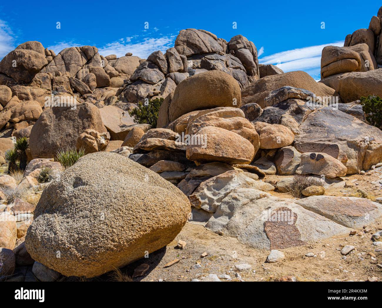 Granite Rock Formations on The Split Rock Loop Trail, Joshua Tree ...