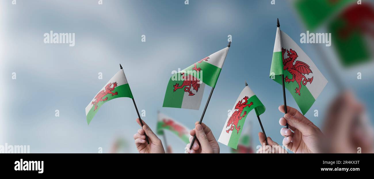 A group of people holding small flags of the Wales in their hands Stock ...