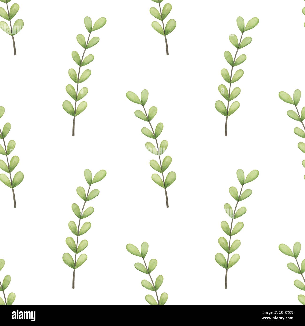 Seamless pattern with greenery on white background. Watercolor simple ...
