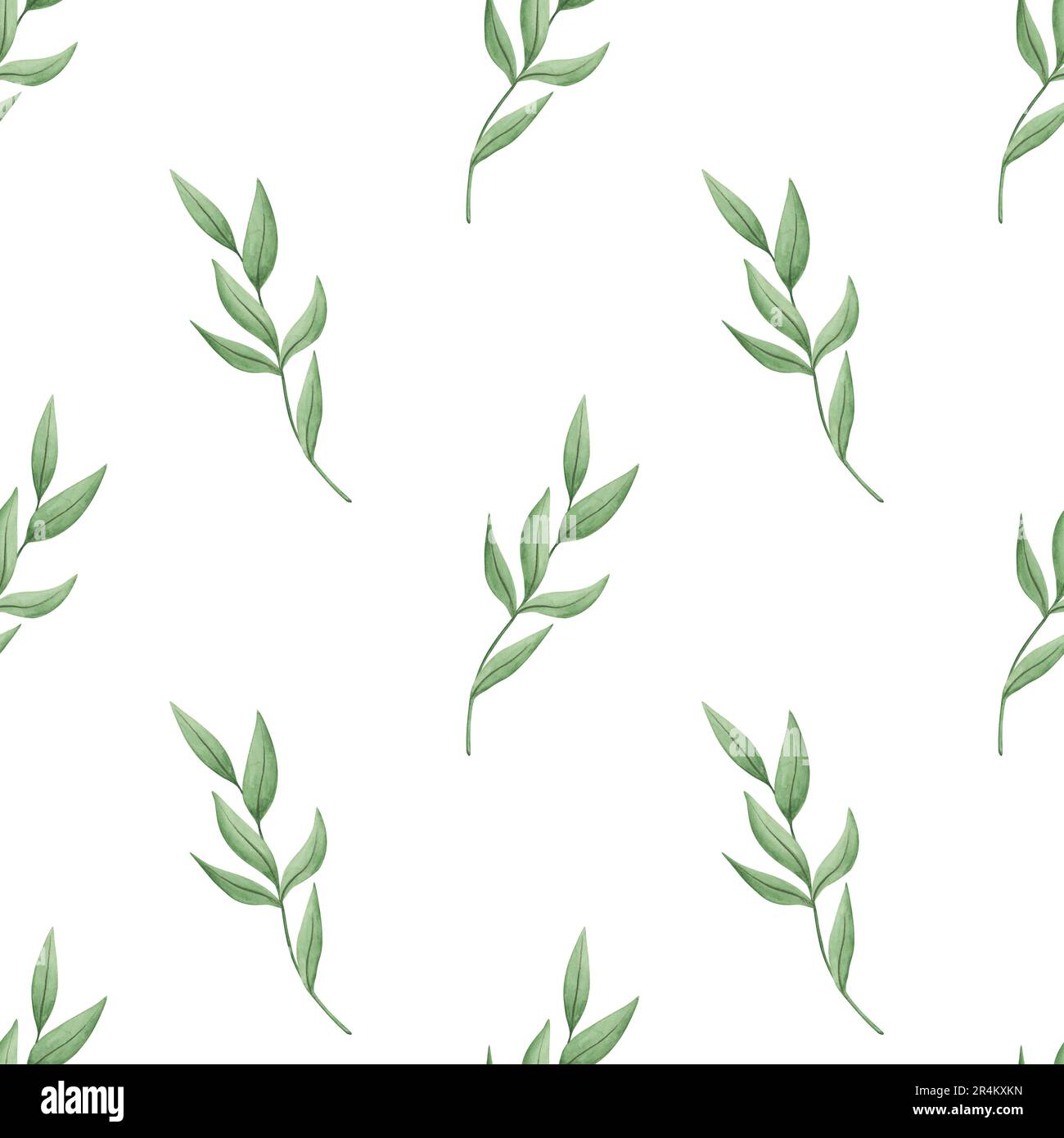 Seamless pattern with greenery on white background. Watercolor simple ...