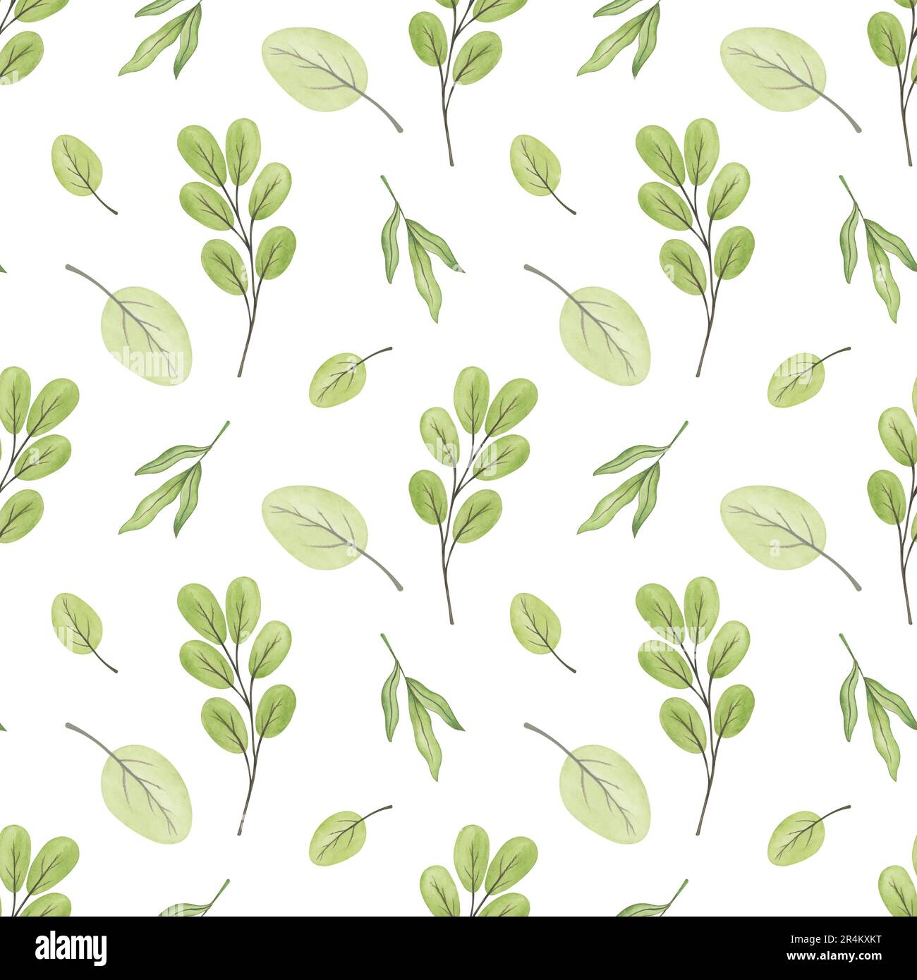 Seamless pattern with greenery on white background. Watercolor simple ...