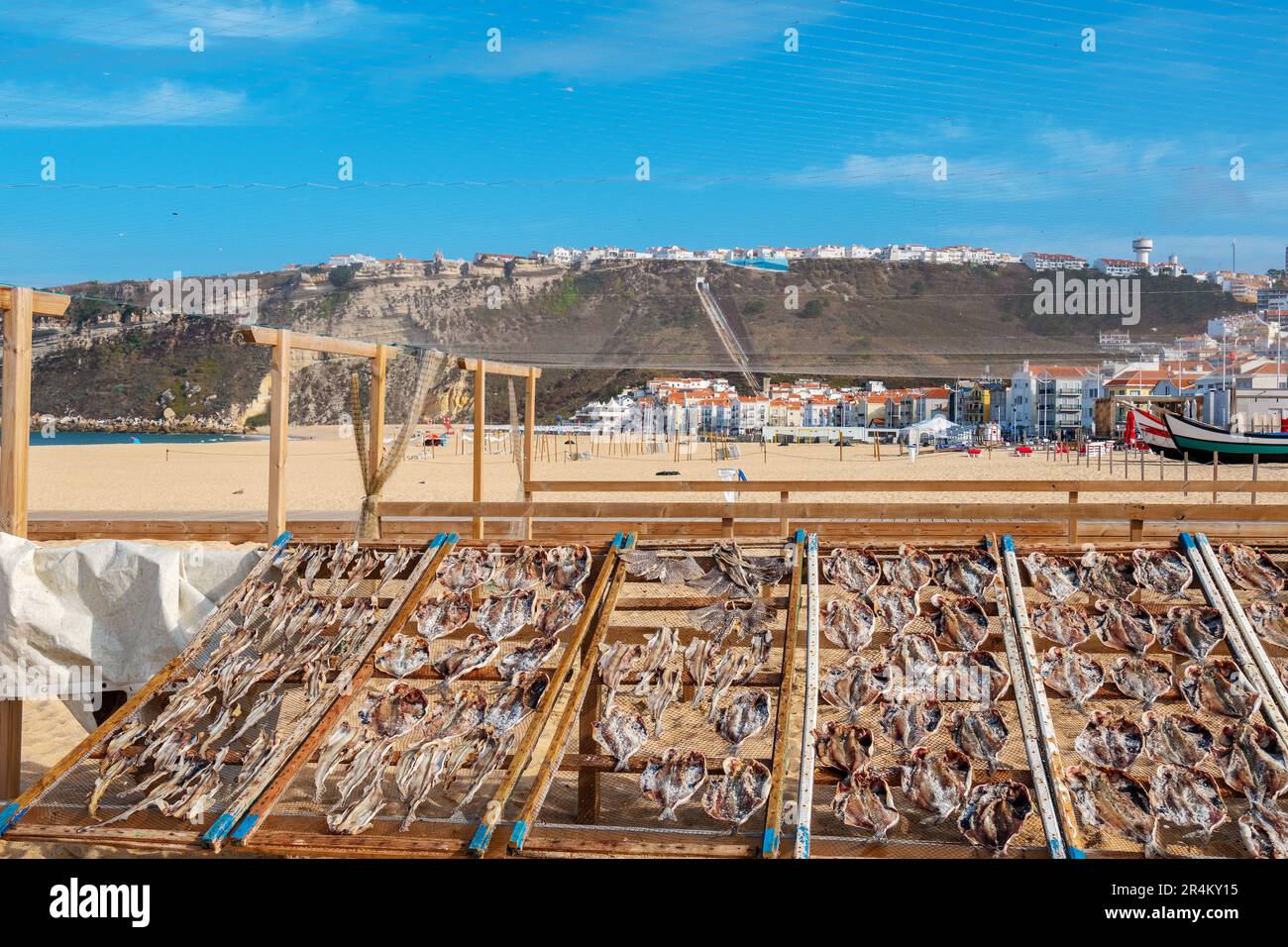 Racks of salted drying fish on the beach in Nazare. Leiria, Portugal ...