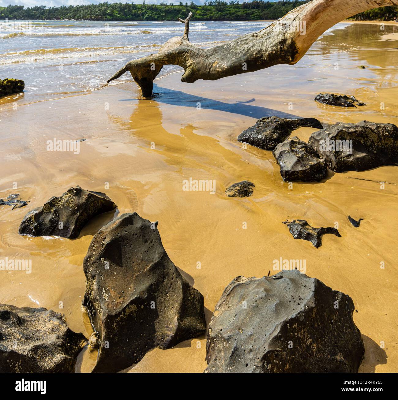 Hanamaulu beach park hi-res stock photography and images - Alamy