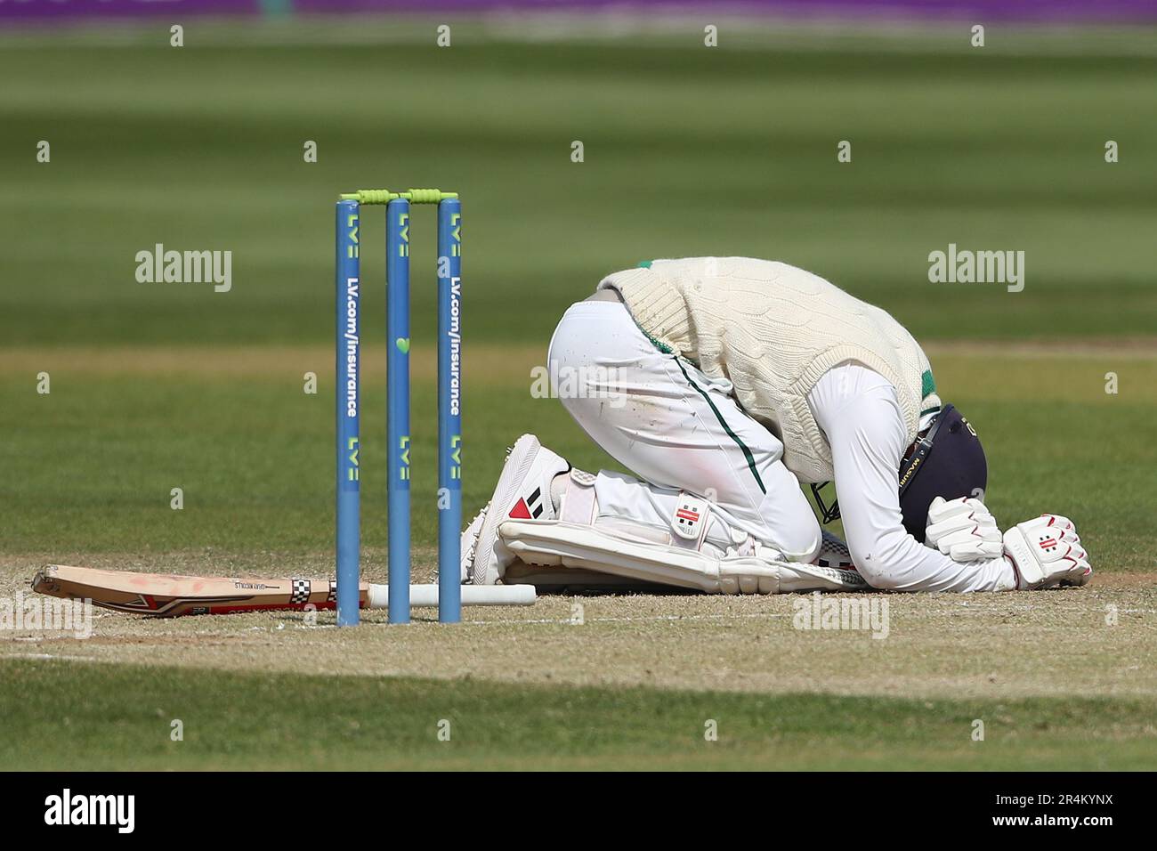 James mccollum hi-res stock photography and images - Alamy