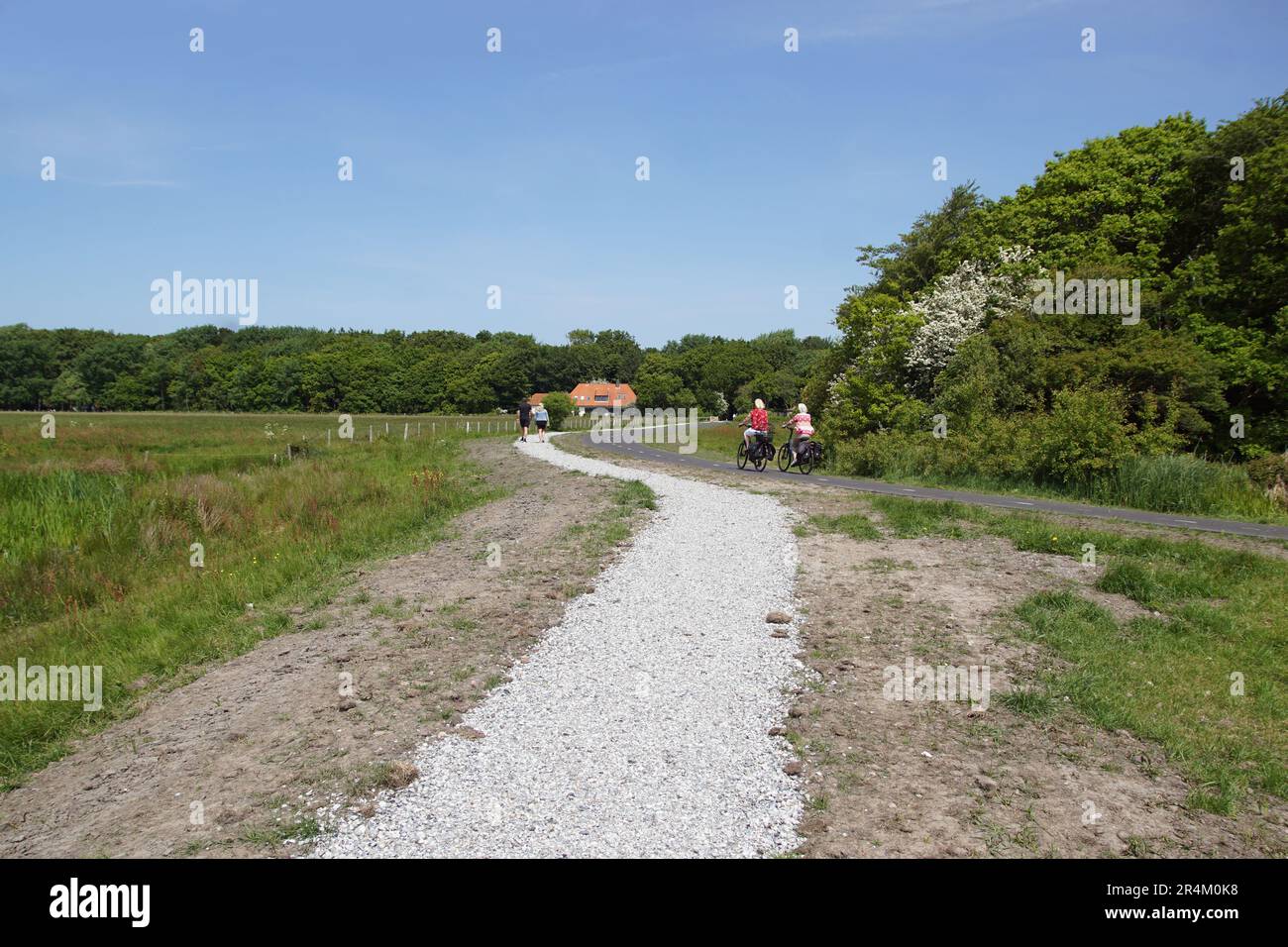 Hikers and cyclists on the shell walking path and cycle path (called ...