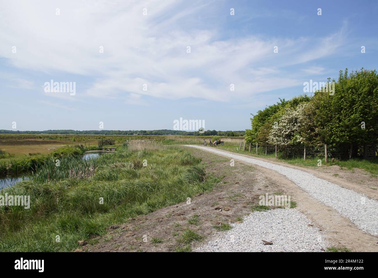 Shell walking path (called Paddenpad) through the meadows along a ditch ...
