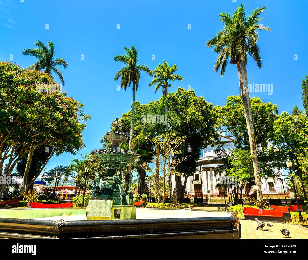 Tropical scenery at General Tomas Guardia Park in Alajuela, Costa Rica ...