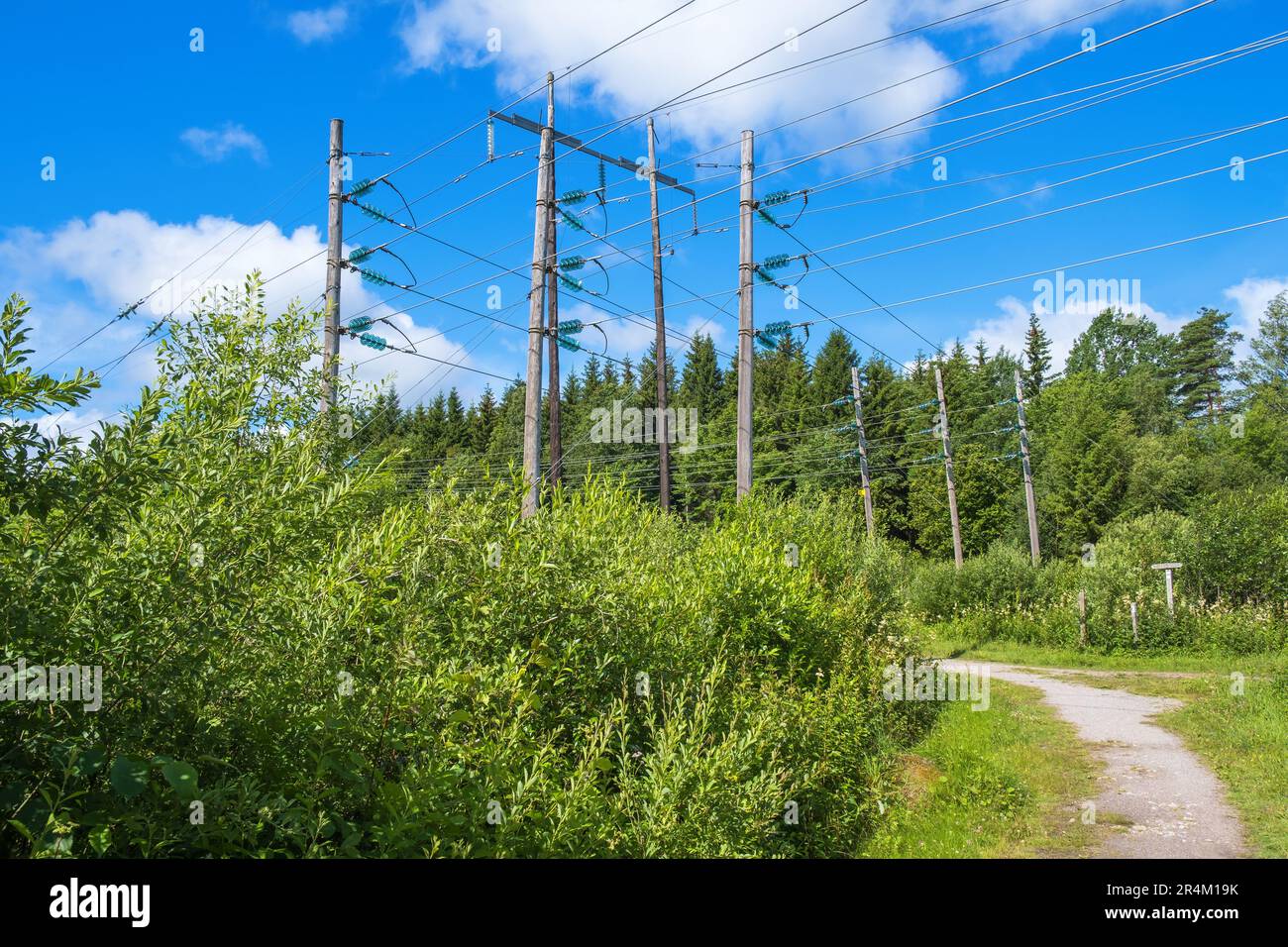 Power line with a path in the woods Stock Photo - Alamy