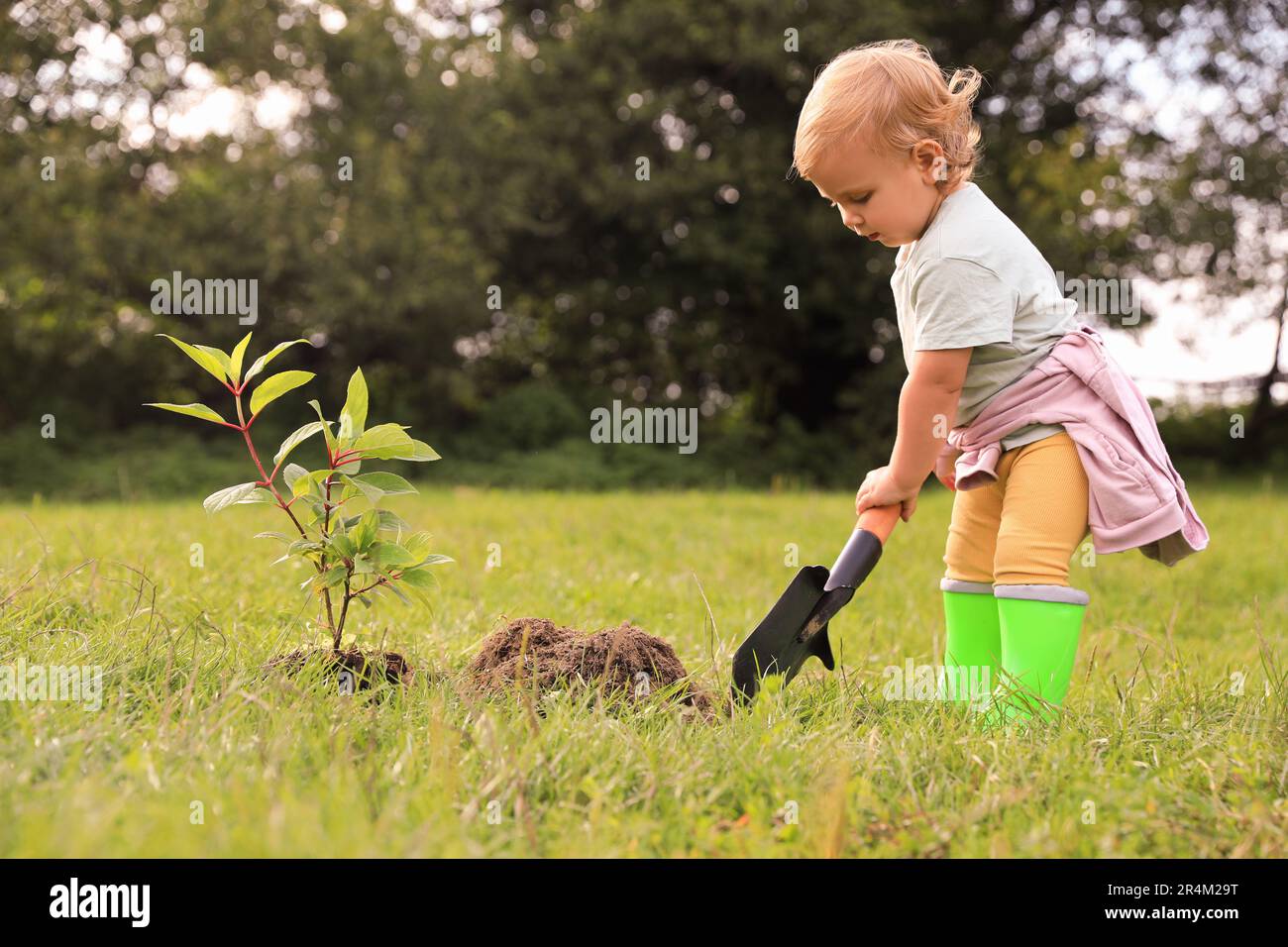 Cute baby girl planting tree in garden Stock Photo - Alamy
