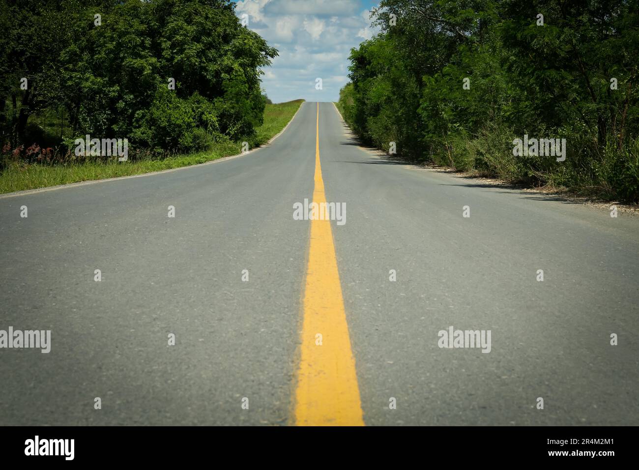 Picturesque view of empty road near trees Stock Photo - Alamy