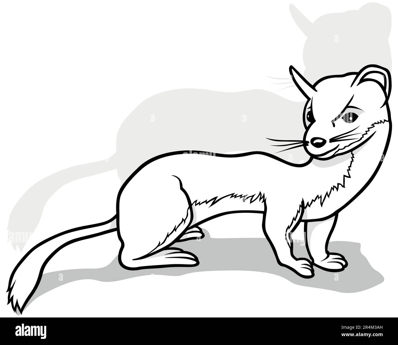 Slender tail Cut Out Stock Images & Pictures - Alamy