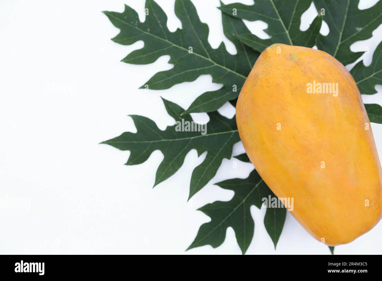 Fresh ripe papaya fruit and leaf on white background, top view. Space ...