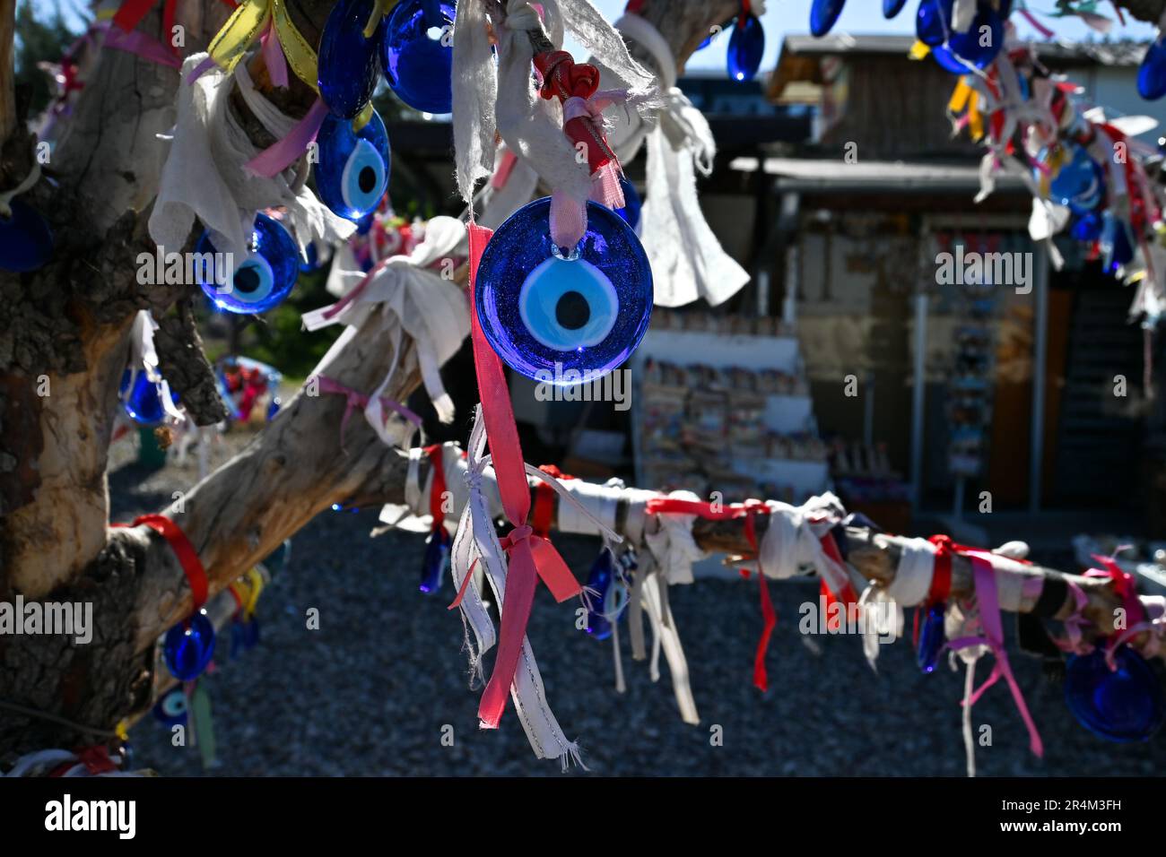 Trash-art installation: a tree covered in trash dropped by tourists ...