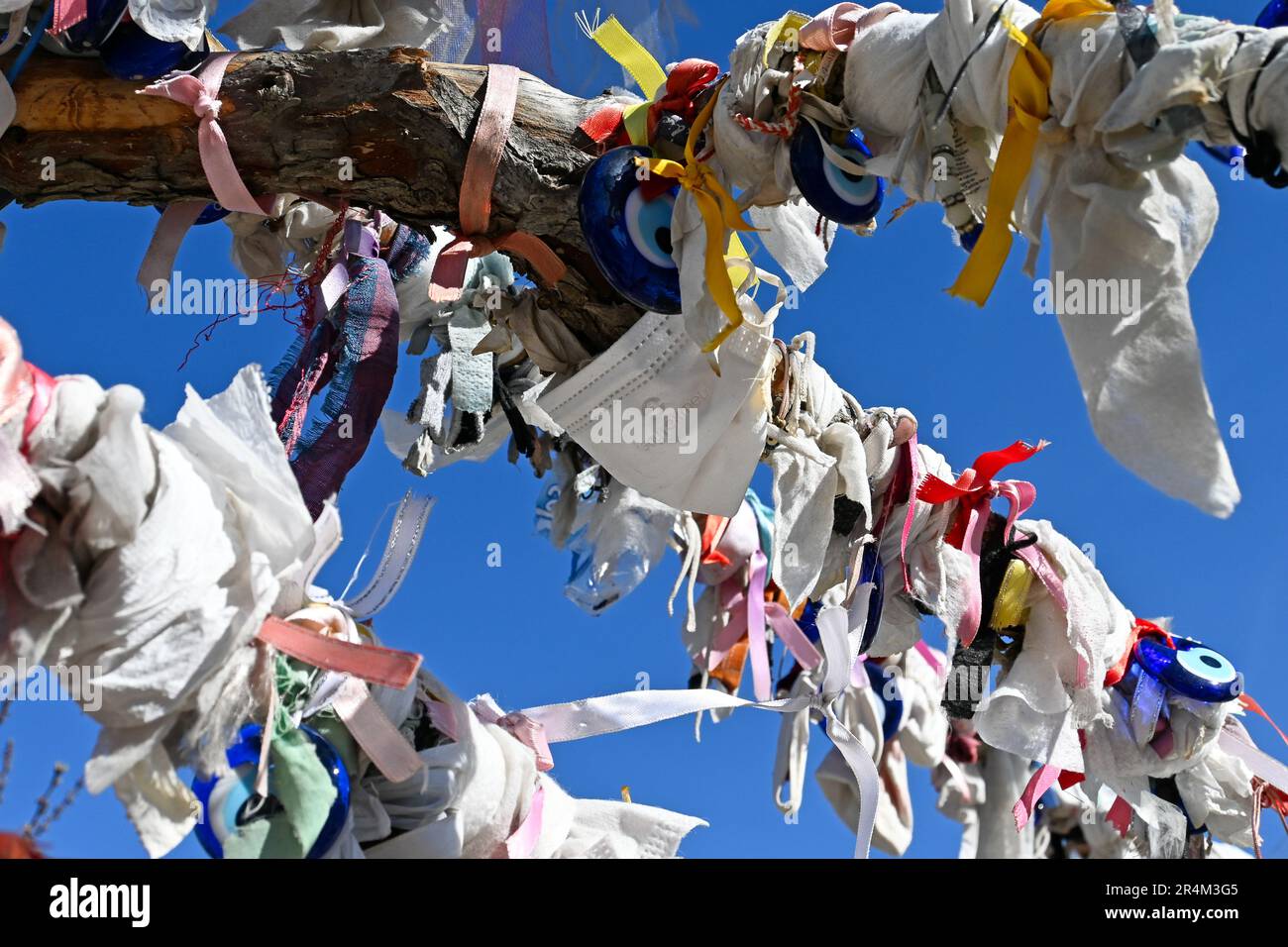 Trash-art installation: a tree covered in trash dropped by tourists ...