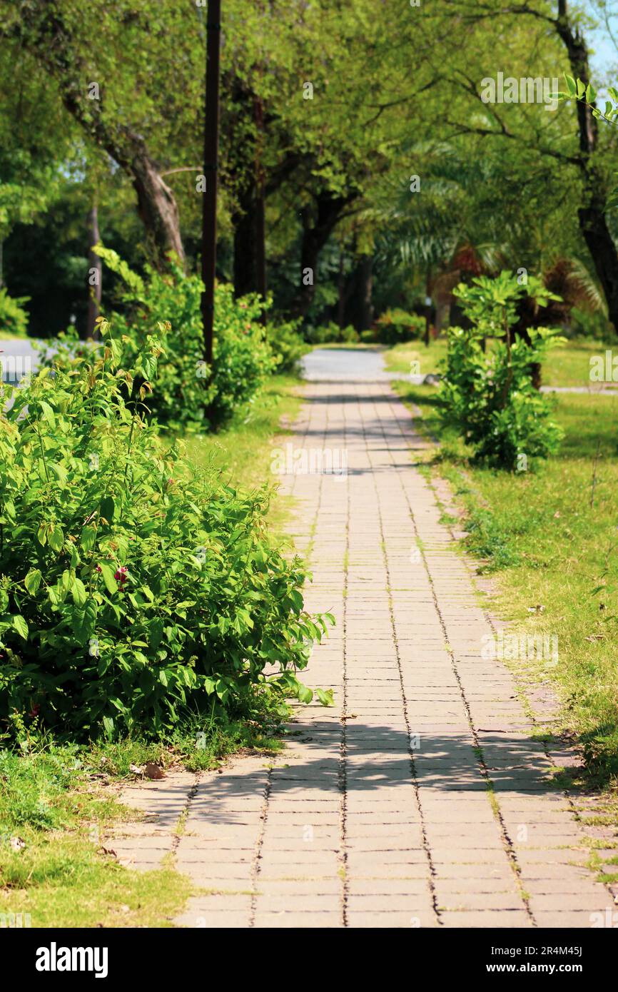 Seasonal pathway hi-res stock photography and images - Alamy