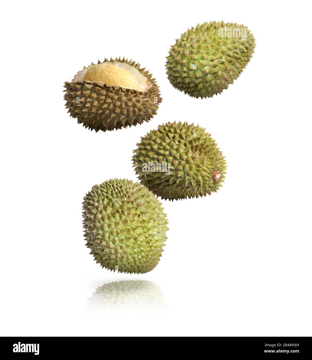 Many ripe durian fruits falling on white background Stock Photo - Alamy