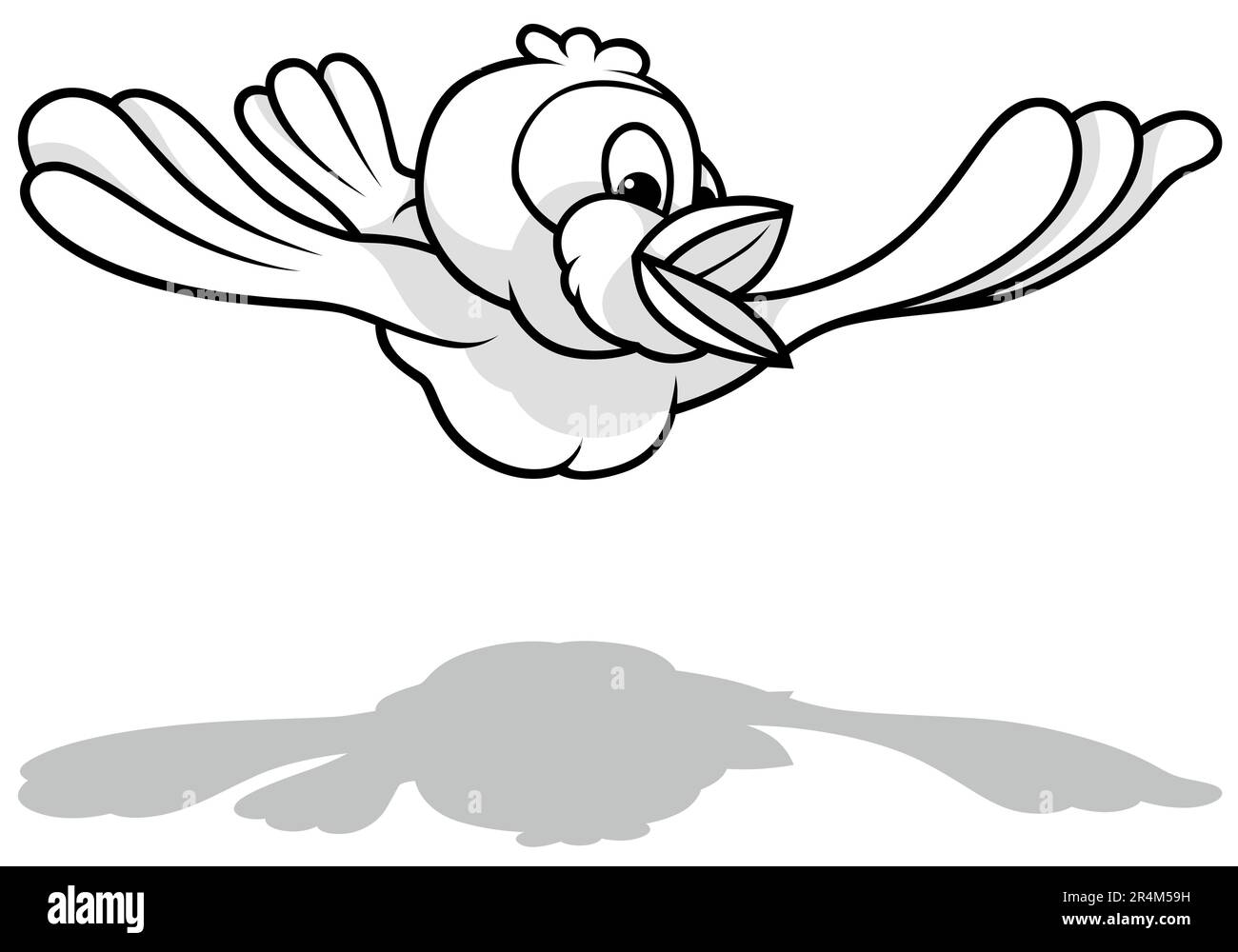 Drawing of a Flying Sparrow Stock Vector Image & Art - Alamy