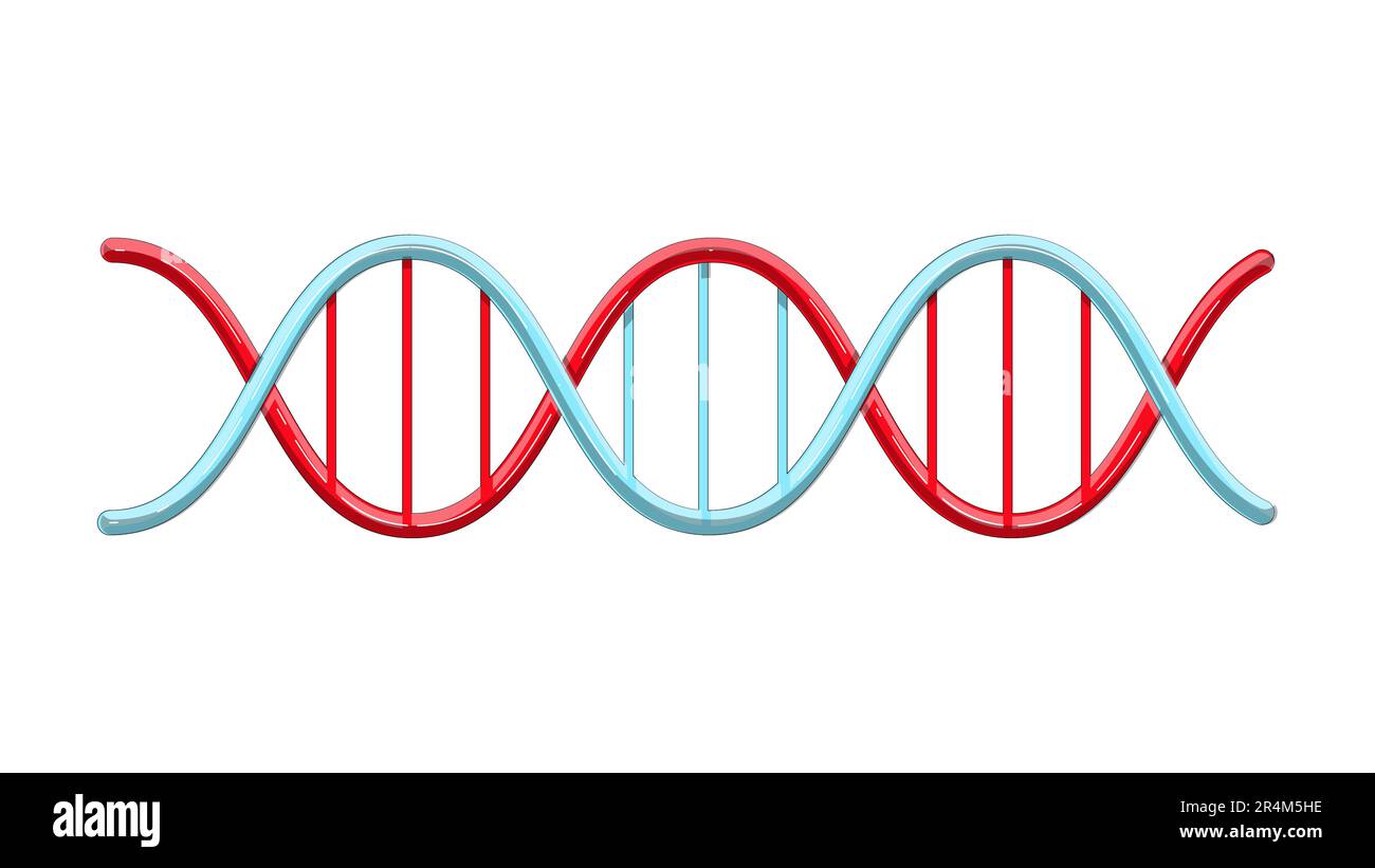 Beautiful medical red and blue scientific twisted helix structure ...