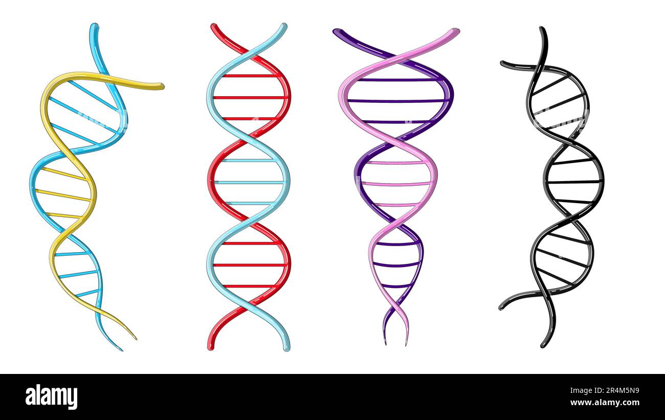 A set of four multicolored beautiful medical scientific twisted ...